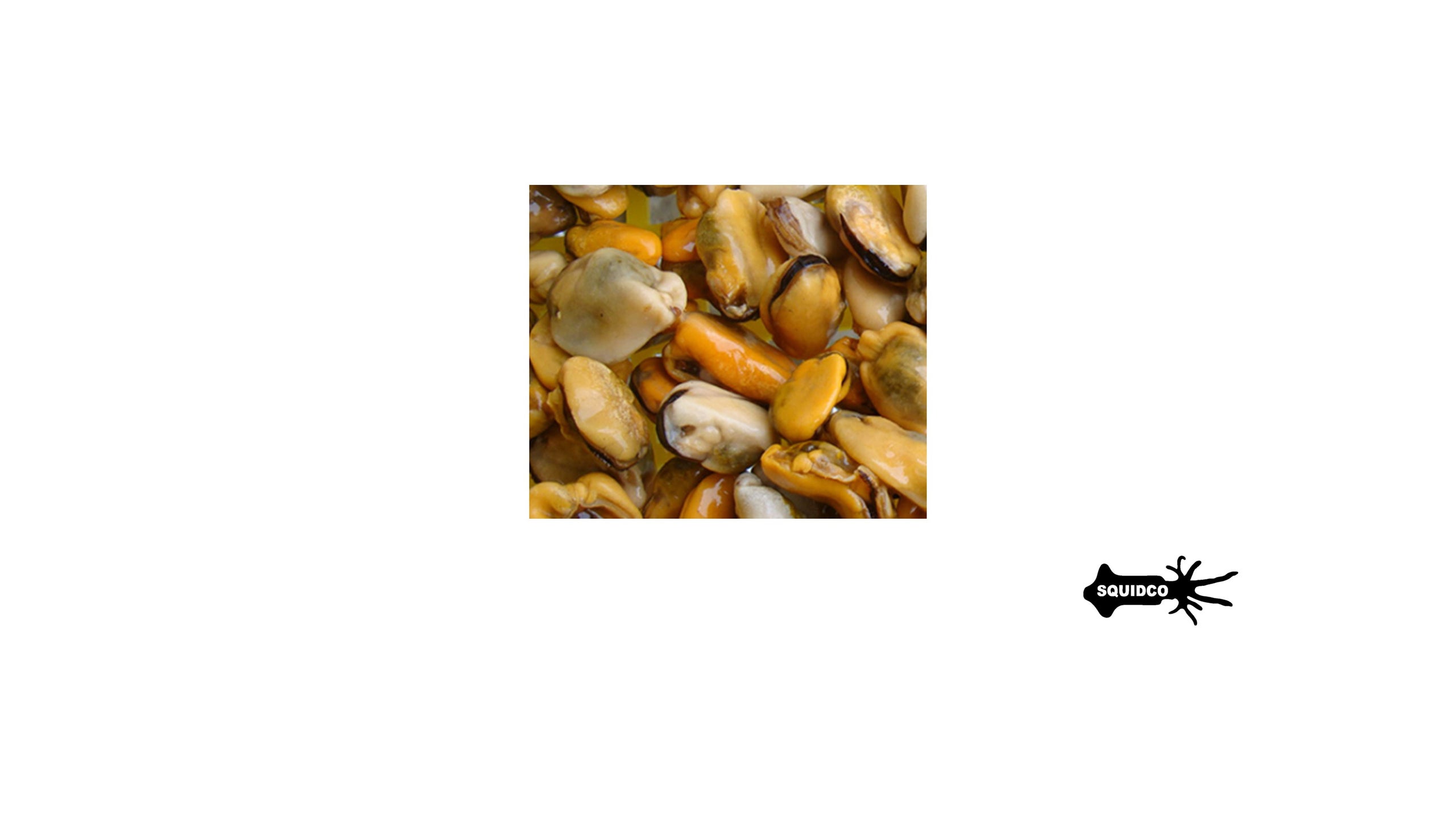 Frozen Mussels 3.5oz | Squidco Fishing